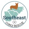 Southeast Corgi Rescue – Finding Homes For Corgis in NC, SC, & GA