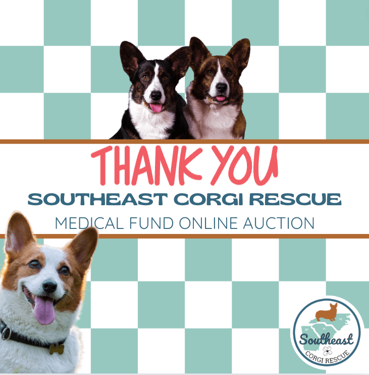 Southeast Corgi Rescue – Finding Homes For Corgis in NC, SC, & GA